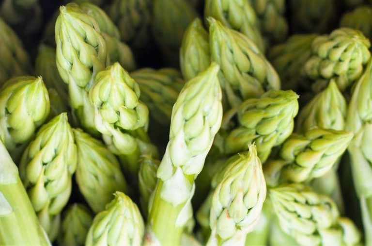 Asparagina | Qué es, historia, función, estructura, importancia, alimentos
