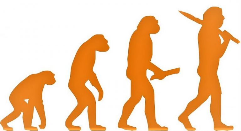 Filogenia | Qué es, etimología, ejemplos | Humana, animal, plantas, peces