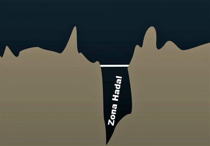 Zona hadal | Qué es, características, fauna, flora, información