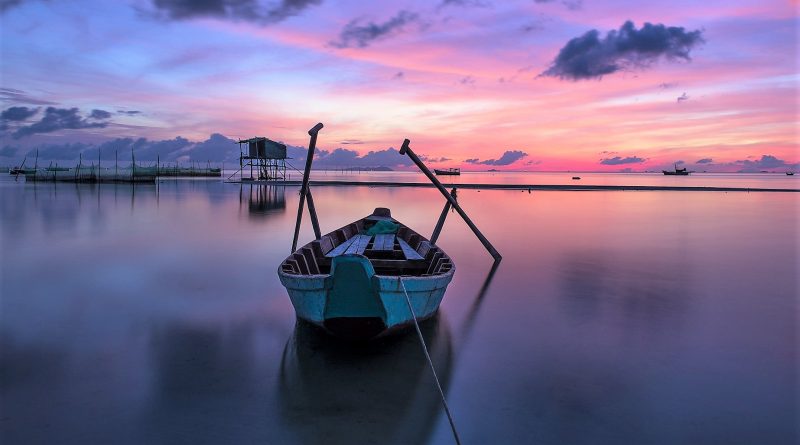 Clima templado | Qué es, características, tipos, fauna, flora, cultivos ...