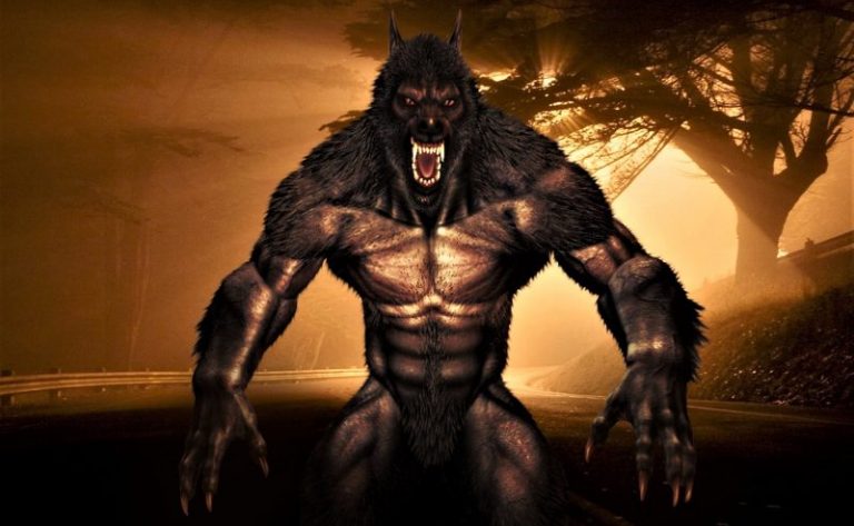 Hombre lobo | Qué es, origen, características, transformación, leyenda