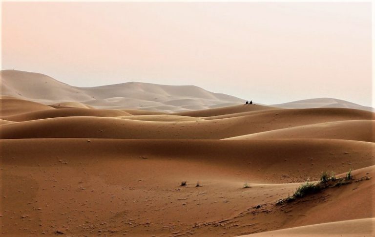 Desierto | Qué es, características, formación, tipos, clima, fauna ...