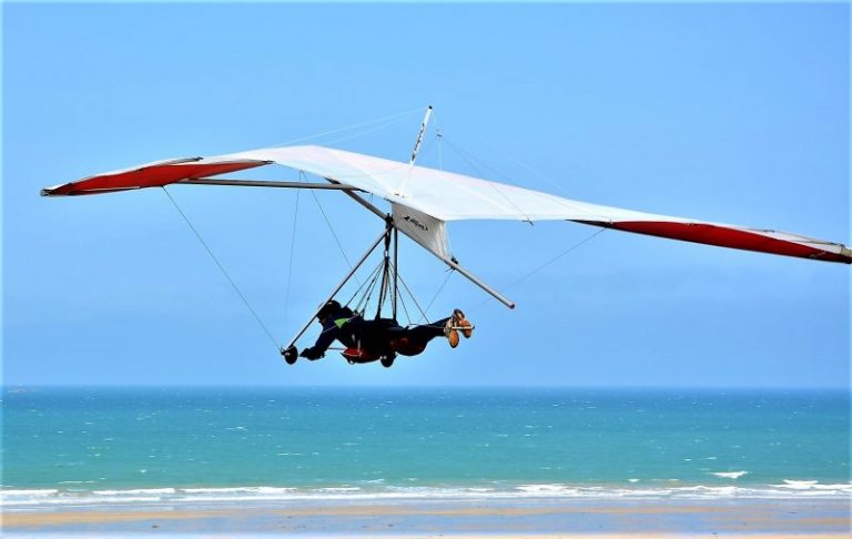 Ala delta | Qué es, características, cómo funciona, partes, para qué ...