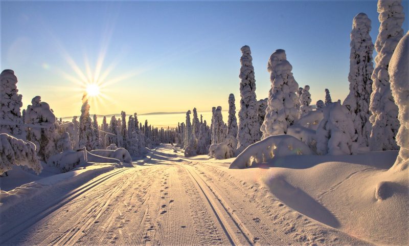 Albedo | Qué es, definición, explicación del efecto, cómo se mide ...