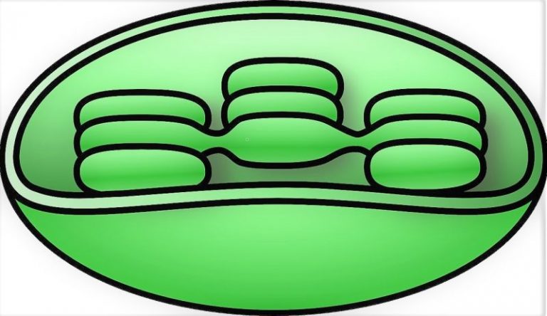 Nucleación | Qué es, características, mecánica, tipos, ejemplos