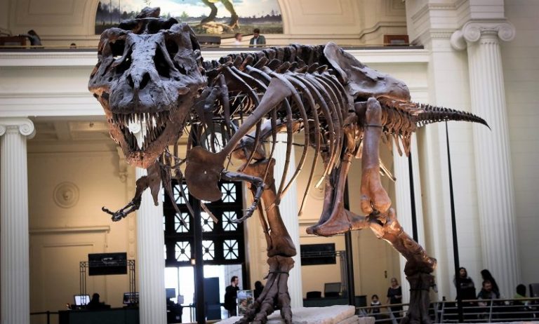 Orogénesis | Qué es, en qué consiste, cómo es el proceso, tipos, historia