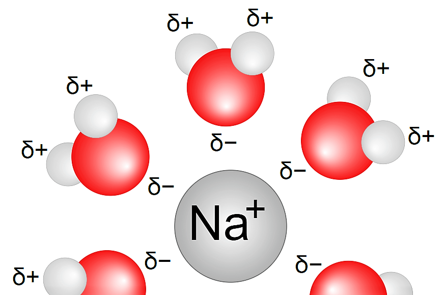 Solvente | Qué es, definición, para qué sirve, características, tipos ...