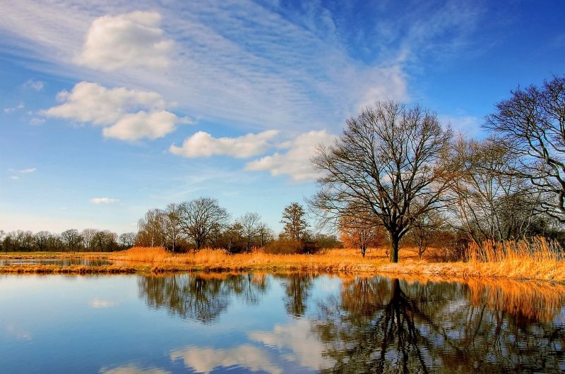 Biotope | What is, characteristics, history, components, examples ...