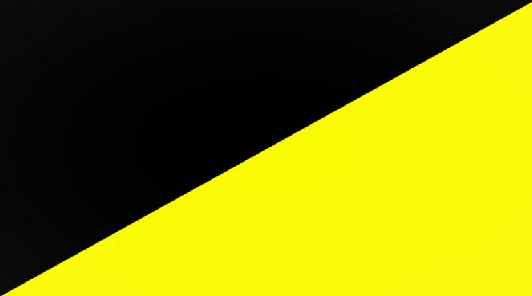 Anarcho-capitalism | What is, history, characteristics, principles ...