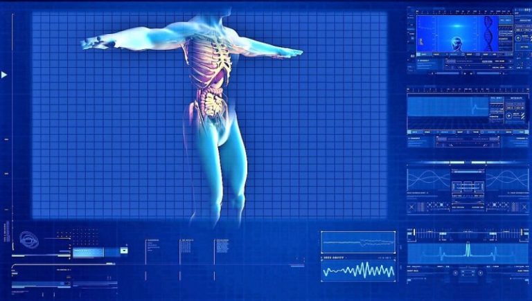 Fisiología | Qué es, qué estudia, características, divisiones, ramas ...