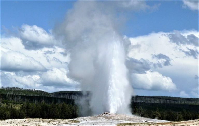 Círculo polar ártico | Qué es, características, dónde se encuentra ...