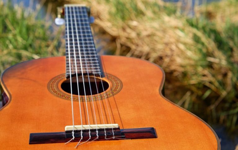 String instruments | What are, which are, characteristics, history ...