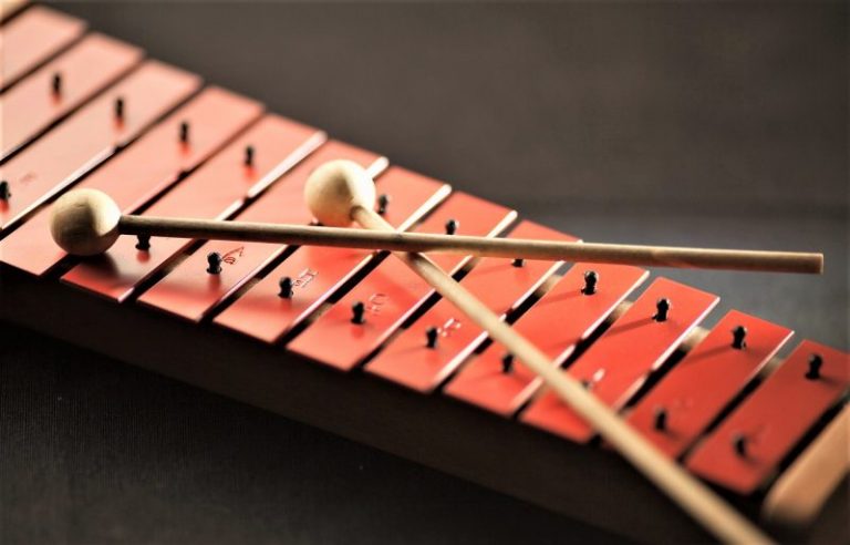 Xylophone | What is, characteristics, history, what is for, inventor ...
