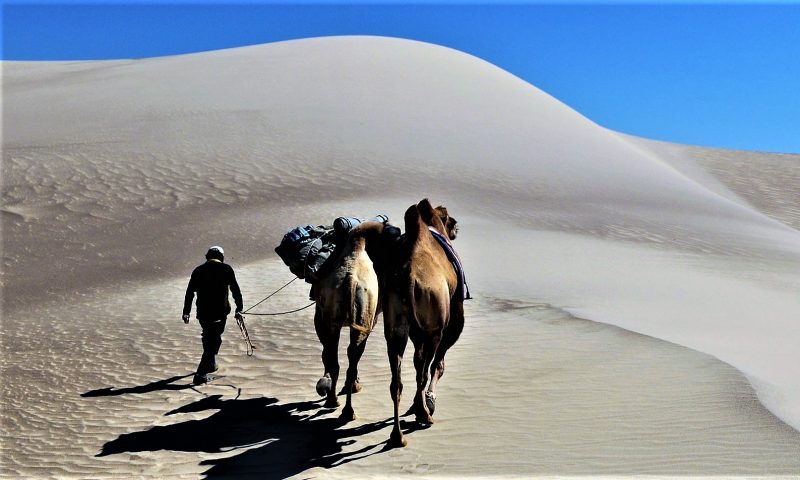 Nómada | Qué es, definición, características, tipos, actividades, vida ...