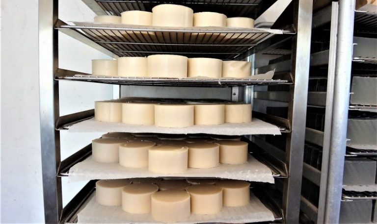 Saponification | What is, what is it for, process, formula, index ...