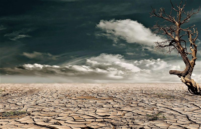Desertification | What it is, about, process, causes, consequences ...