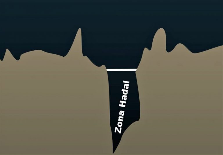 Seismology | What it is, what it studies, what it is for, history ...