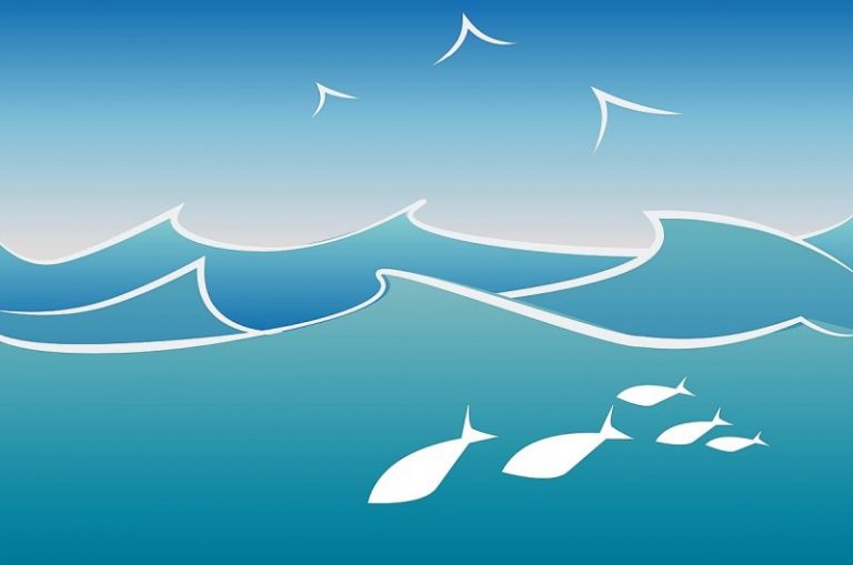 Abyssal zone | What is, characteristics, animals, plants, information