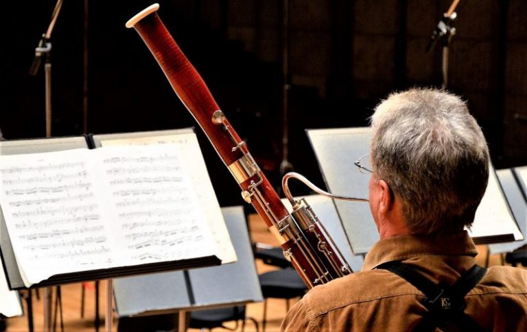 Bassoon | What is, characteristics, history, what it is for, types ...