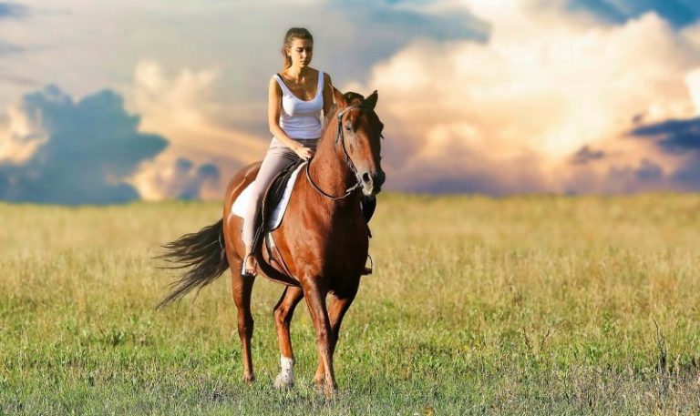 Horse riding | What is it, characteristics, history, disciplines, rules ...