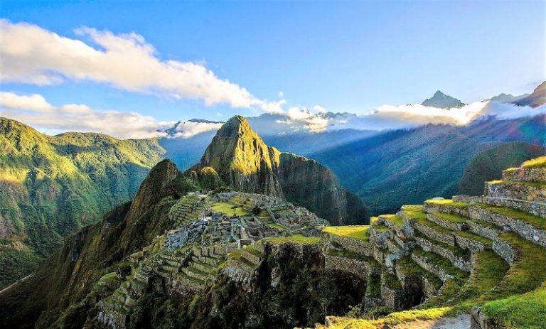 Asia | Qué es, características, economía, cultura, países, fauna, flora ...