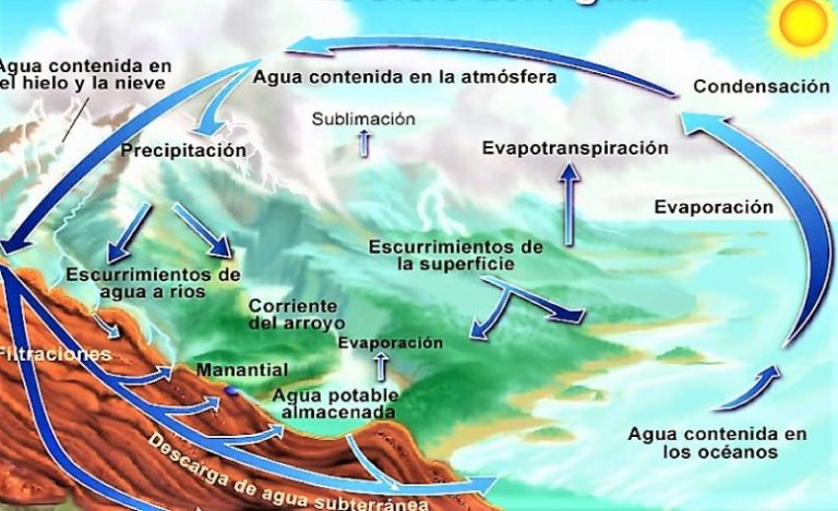 Ciclo biogeoquímico | Qué es, características, tipos, ejemplos, importancia