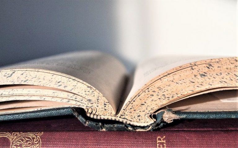 Prosa | Qué es, características, para qué sirve, tipos, historia ...