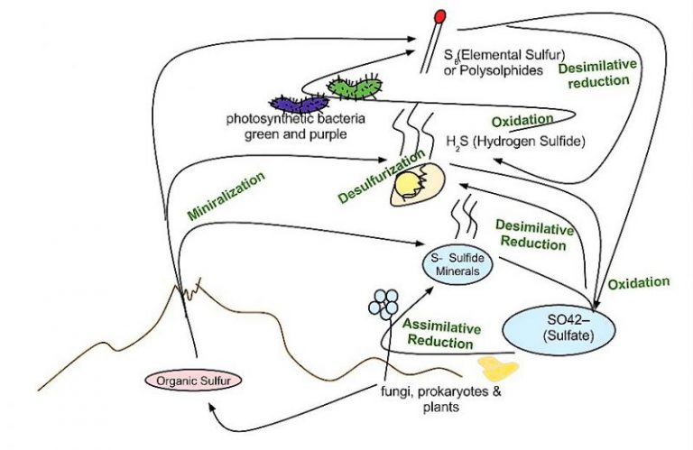Nucleación | Qué es, características, mecánica, tipos, ejemplos