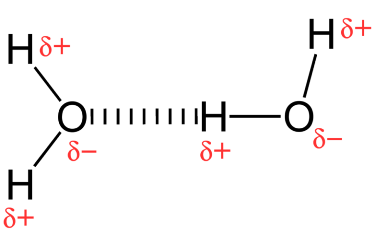 Fórmula estructural | Qué es, características, para qué sirve, partes ...