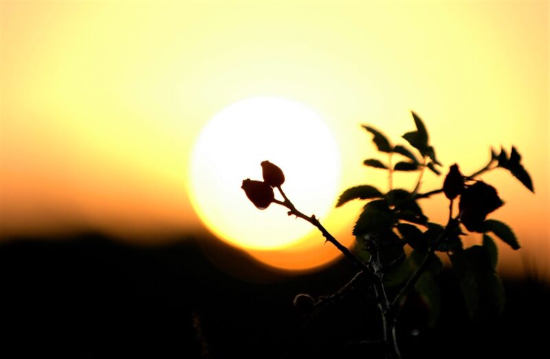 Radiación Solar | Qué es, características, tipos, cómo se mide, importancia