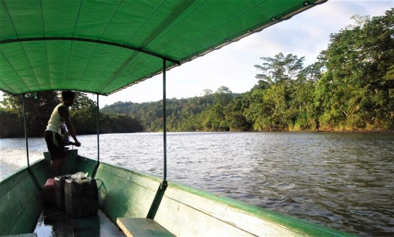 Río Amazonas | Qué es, características, recorrido, afluentes ...